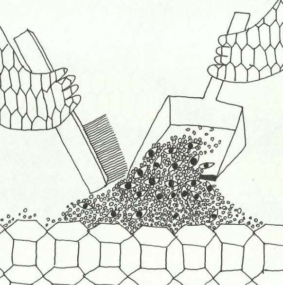 olop (part 1), tales of skin – THE SKIN PROJECT